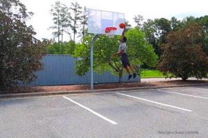 How Many Basketballs Can Fit In A Rim?